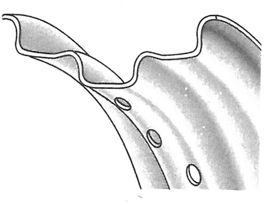 MID-USA Motorcycle Parts. V-FACTOR RIMS FOR MOST MODELS